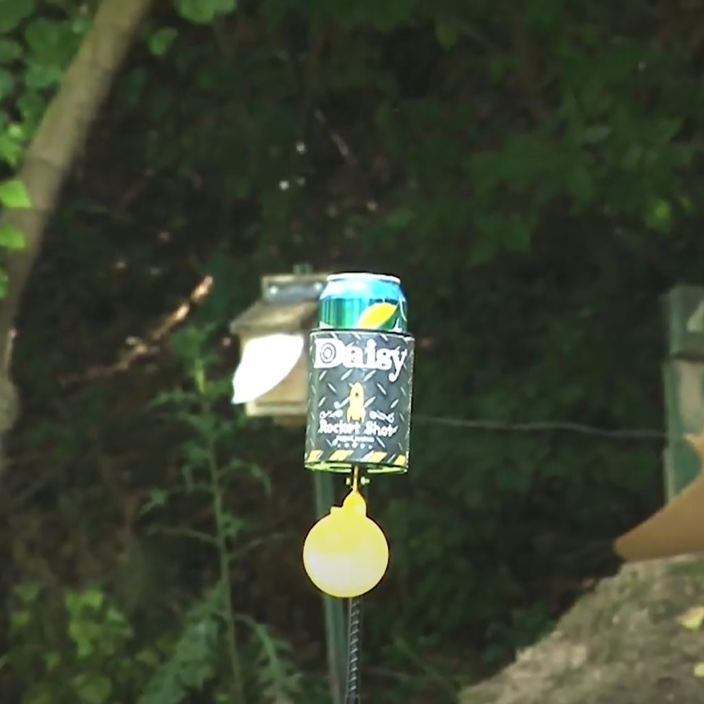 BB Gun, BB rifles, Pump Rifles, Pellet Rifles, Youth Red Ryder - DAISY