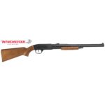BB Gun, BB rifles, Pump Rifles, Pellet Rifles, Youth Red Ryder - DAISY